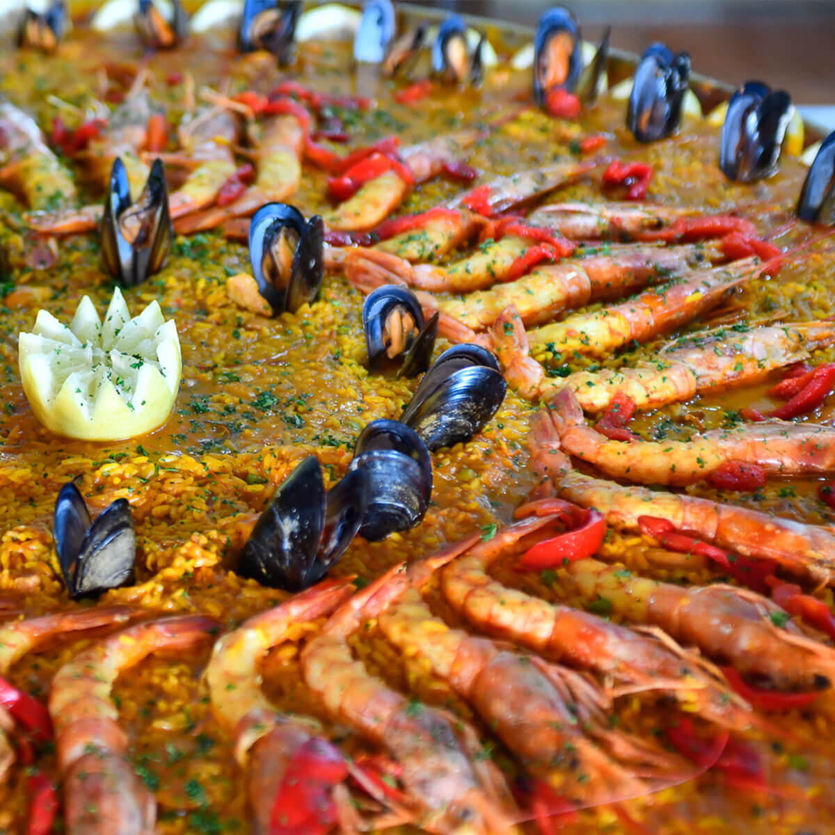 Spanish food. Exquisite flavours and tastes of Spanish gastronomy