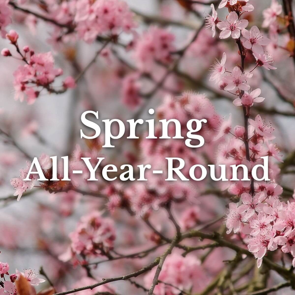 Superb spring weather on the Costa del Sol | YourViva