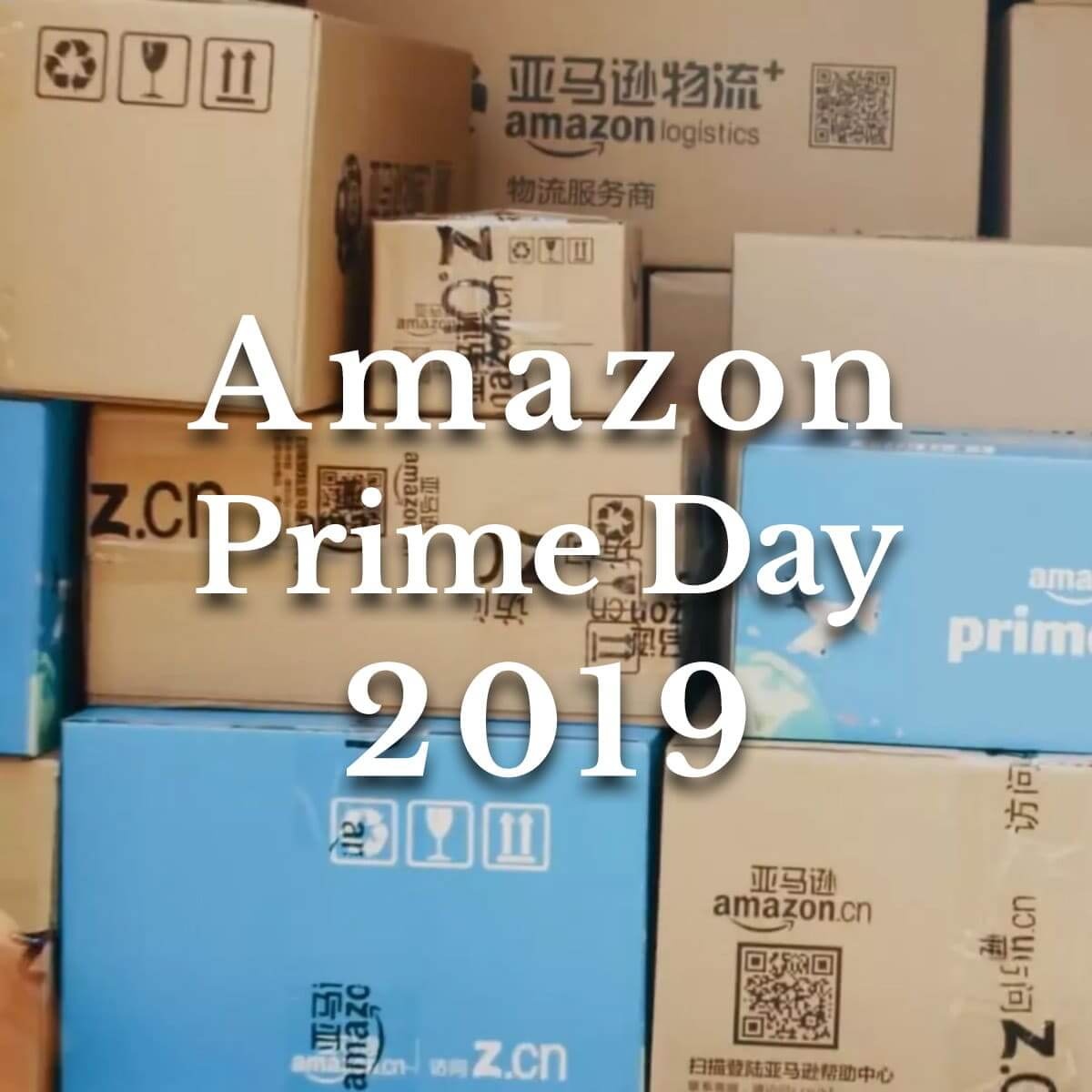 4 Ideal Amazon Prime Day 2019 Purchases For Your Property | YourViva