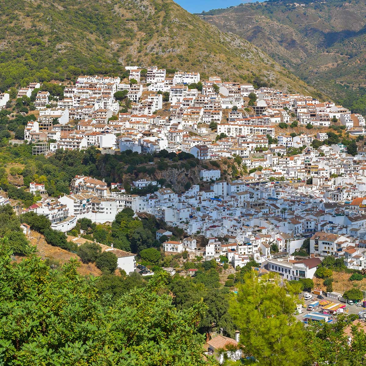 Ojen Guide - General information about Ojen area