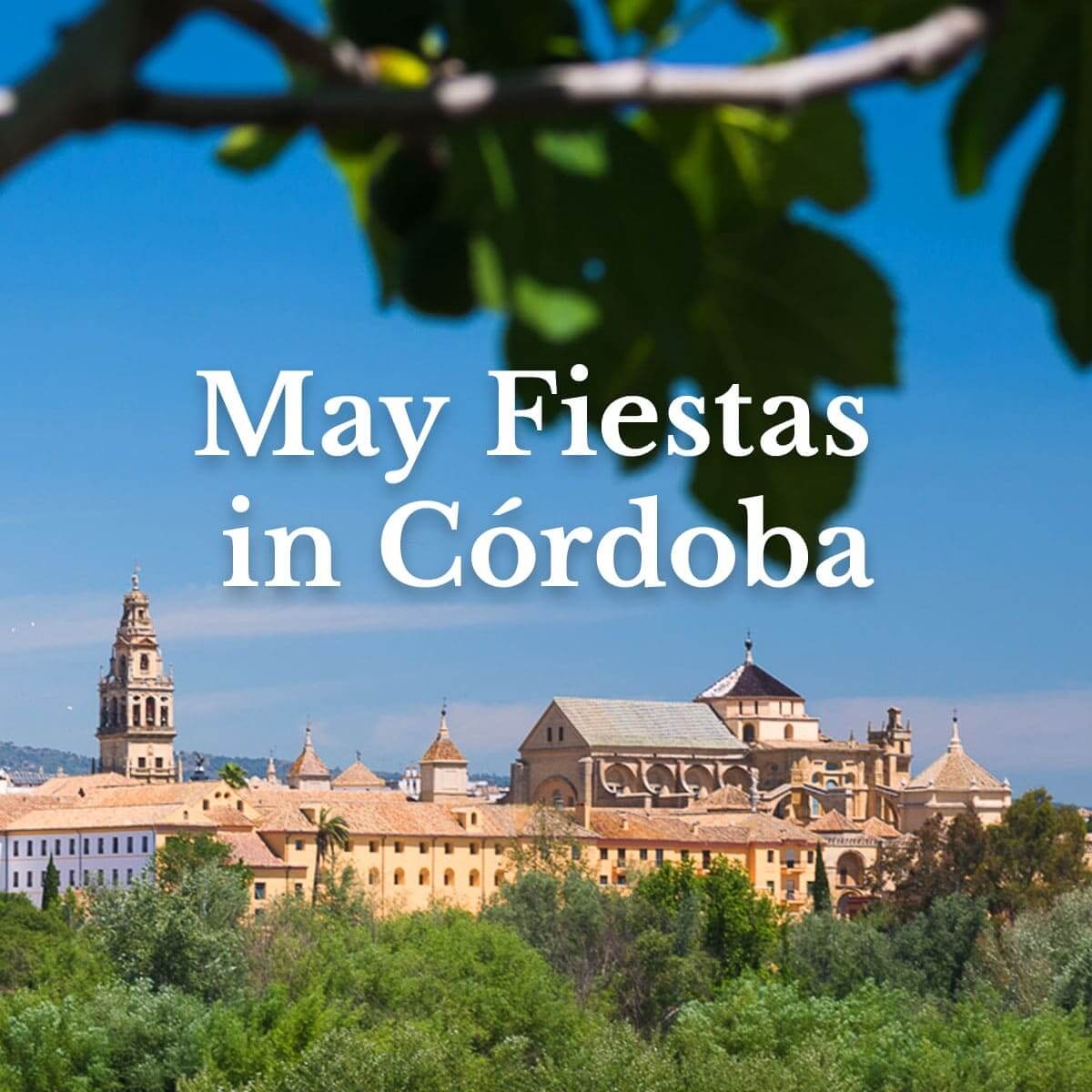Andalusian Festivals and Fiestas. Crosses and Patios, Córdoba | YourViva