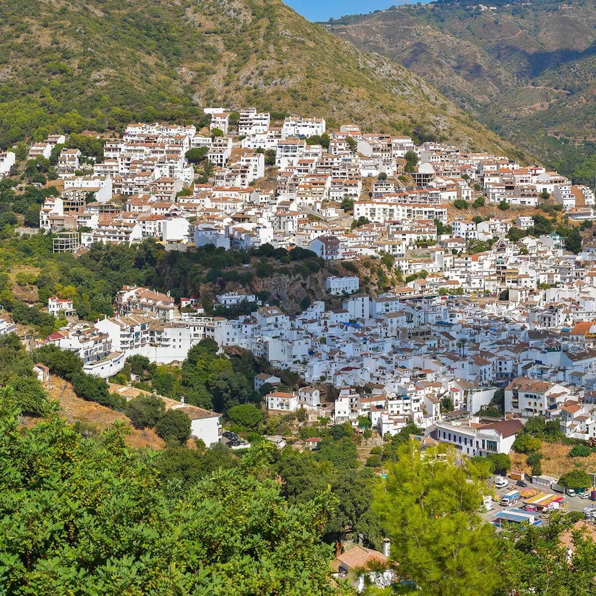 Ojen Guide - General information about Ojen area